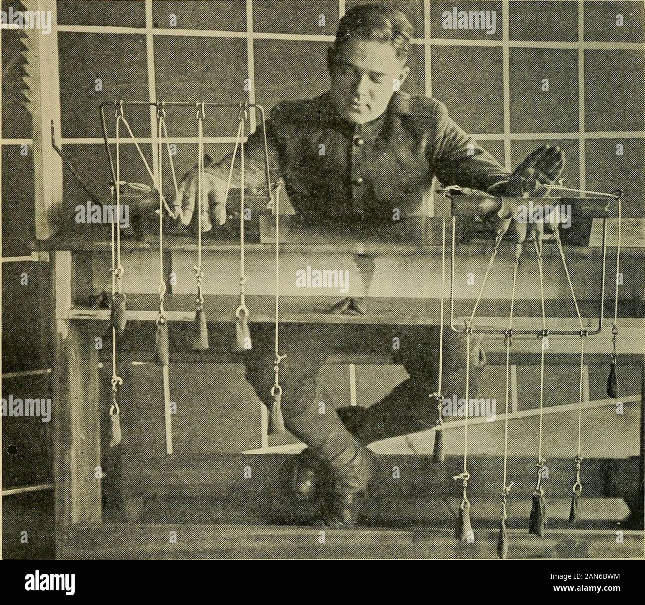 Elbow flexion and extension hi-res stock photography and images - Alamy