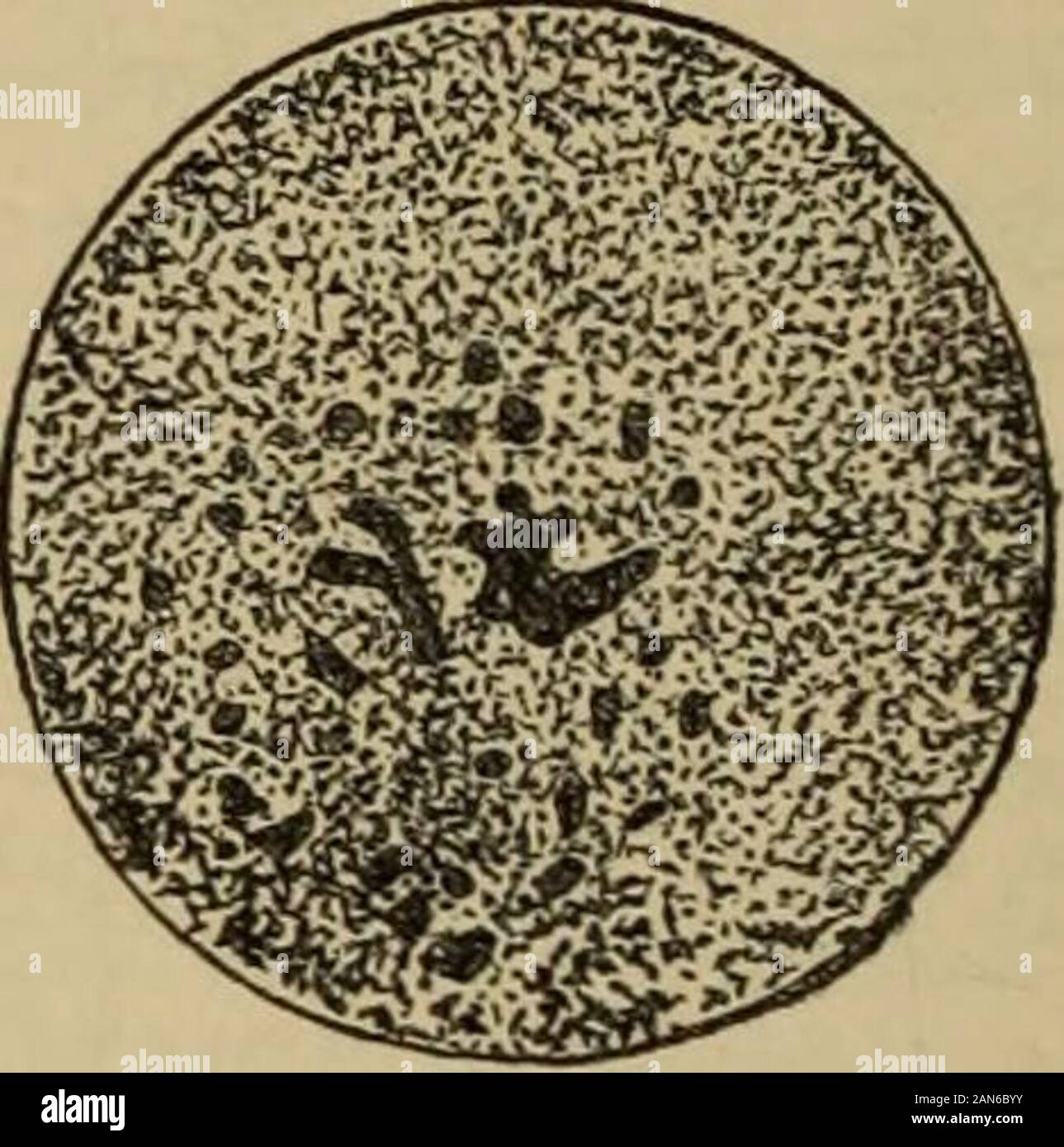 Diffuse opacity hi-res stock photography and images - Alamy