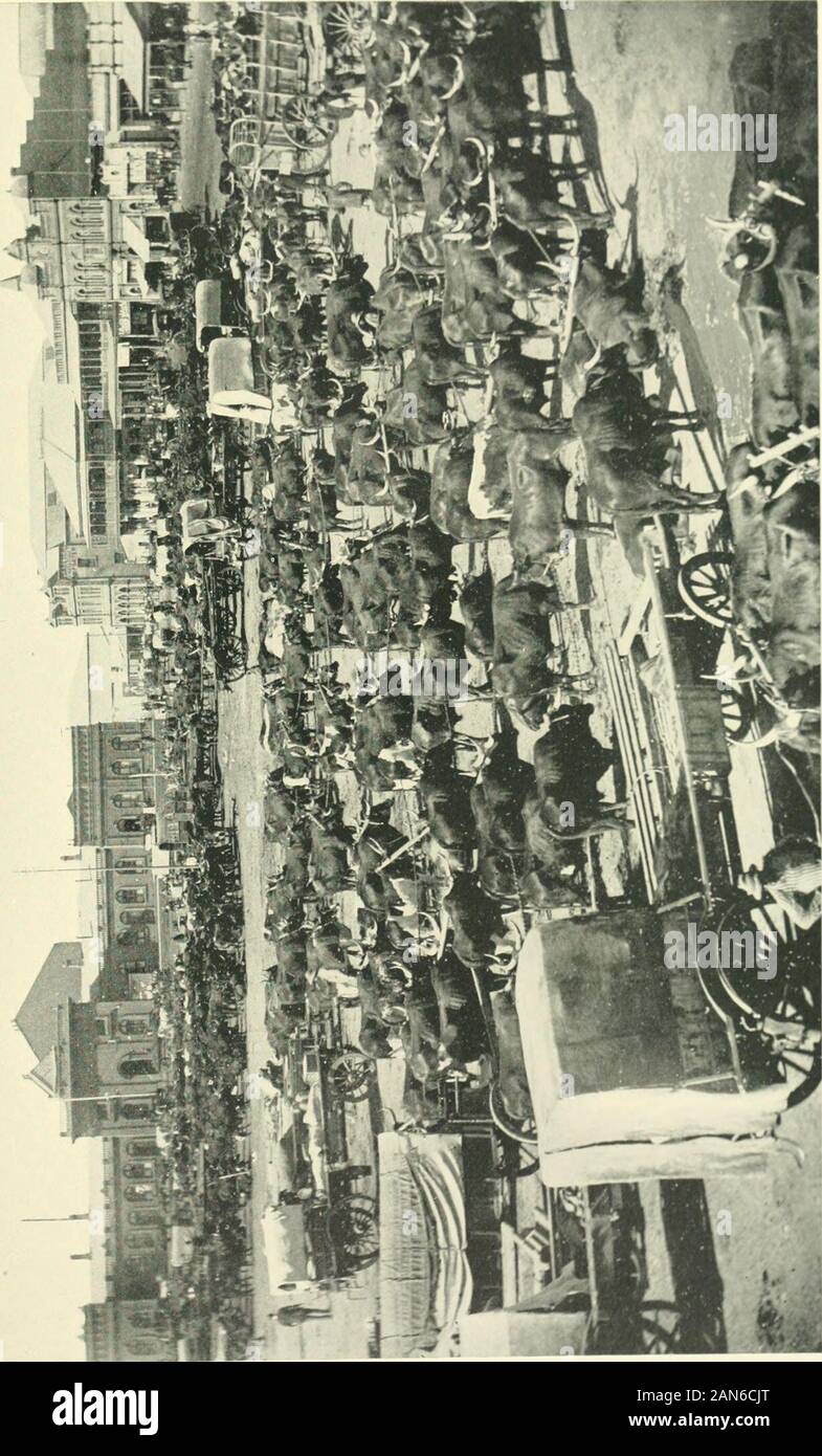 Transvaal railway hi-res stock photography and images - Alamy