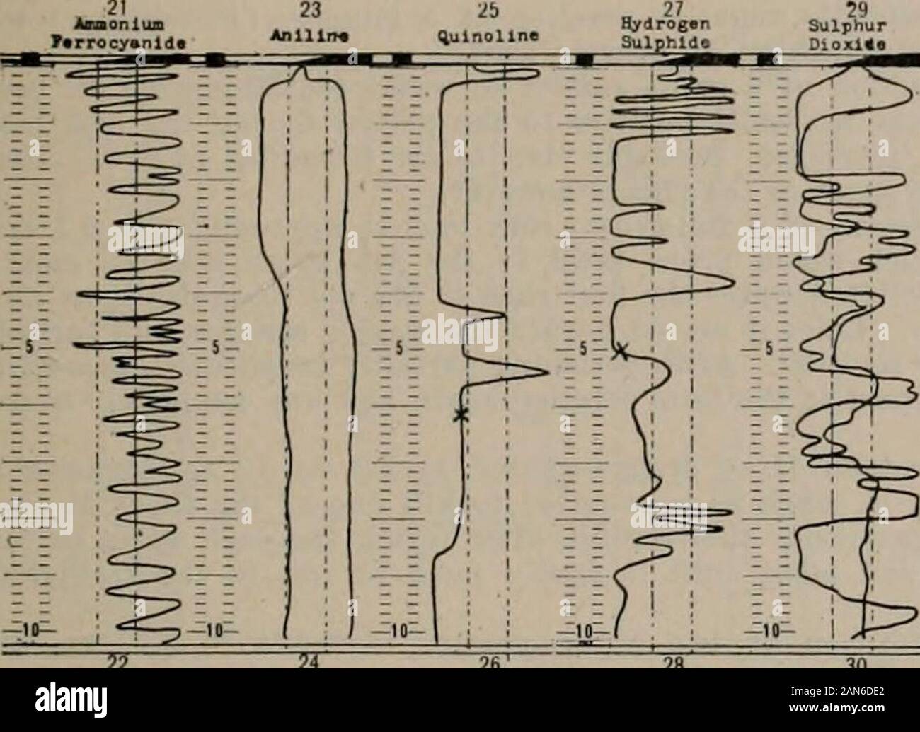 Orange spotted sunfish hi-res stock photography and images - Alamy