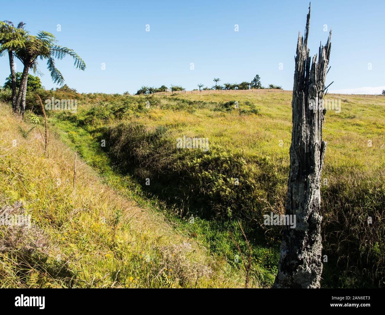 Historic Maori battle site, overgrown remains of entrenchment ditch and ...