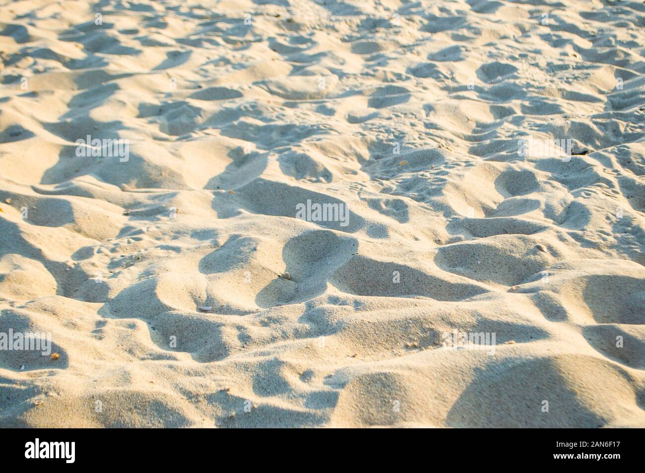 Textured sandy background. Sunny day on a sandy beach Stock Photo - Alamy
