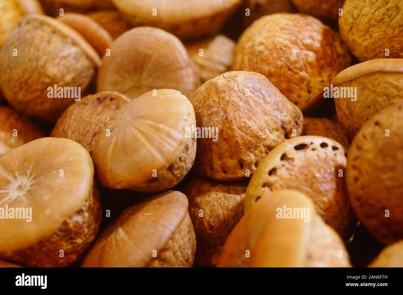 Kidney nourishing fruit Stock Photo - Alamy