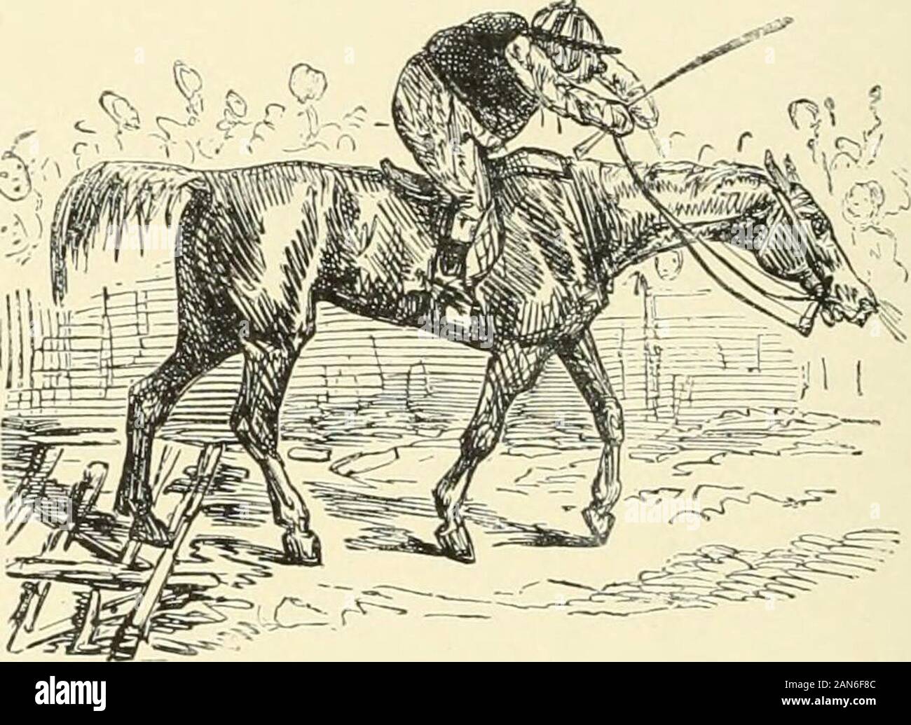 Mr briggs hi-res stock photography and images - Alamy