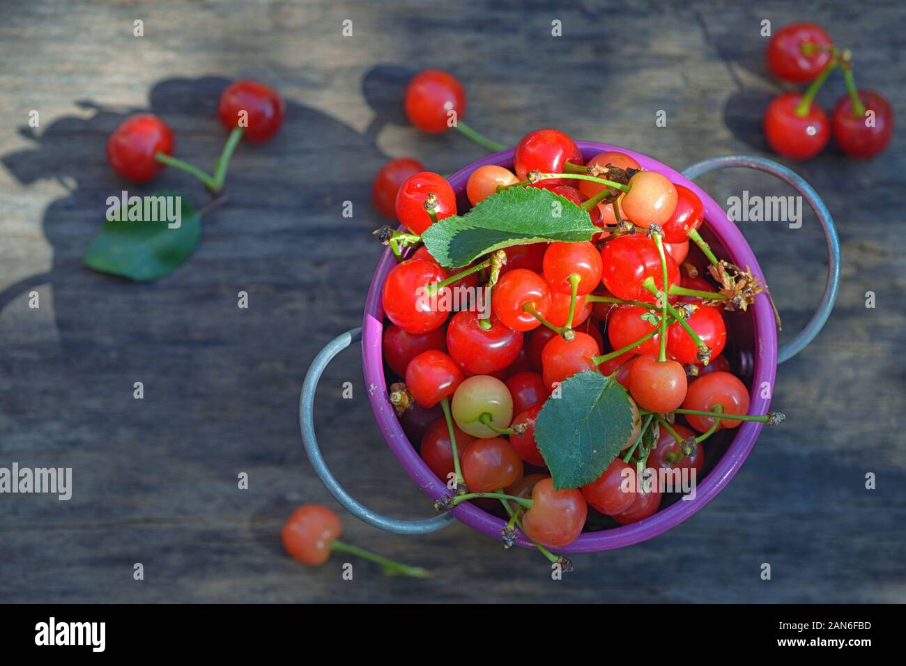 Ripe Red Cherry In A Metal Bucket Stock Photo - Alamy