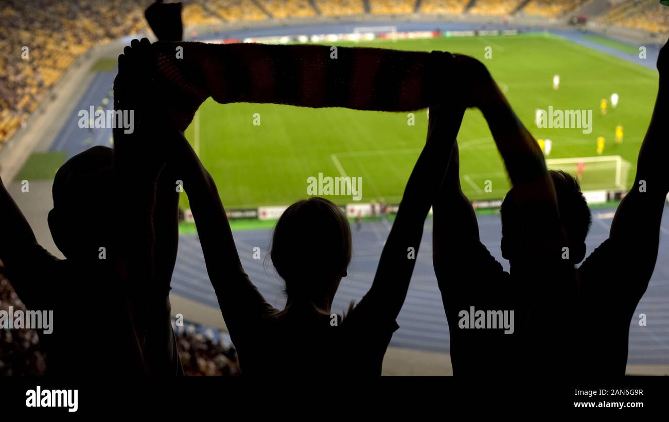 Football fans watching match at stadium, celebrating goal, passionate ...