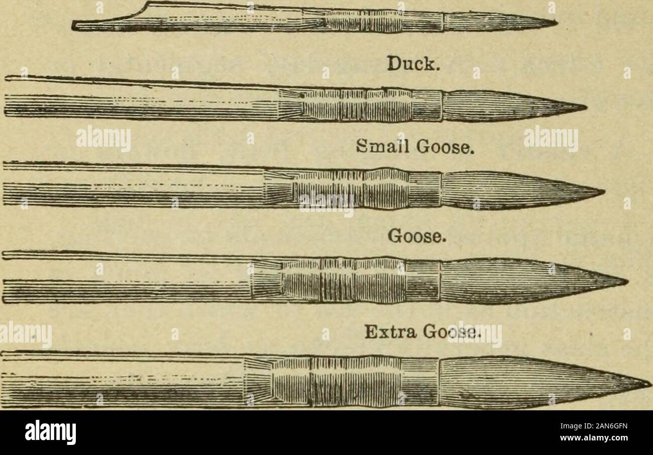 Quills for art work hi-res stock photography and images - Alamy