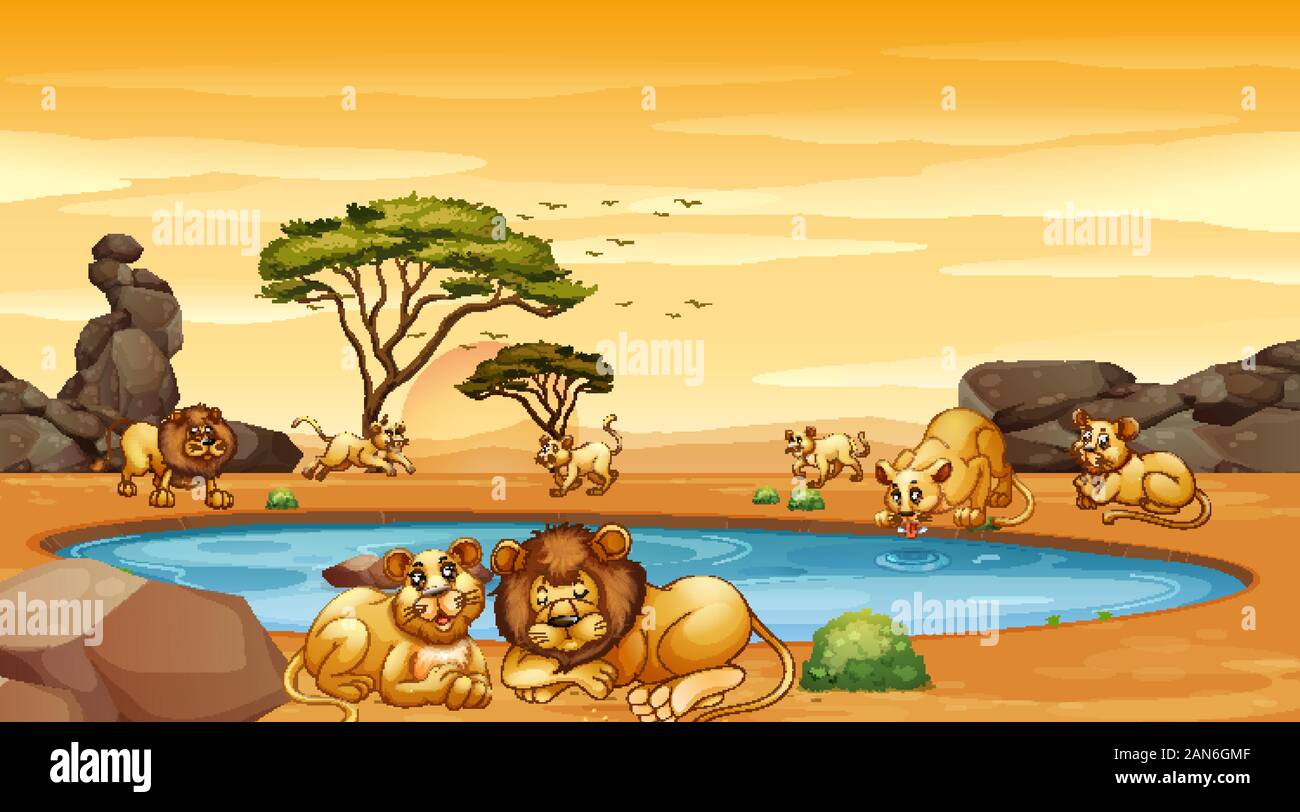 Scene with many lions by the pond illustration Stock Vector Image & Art ...