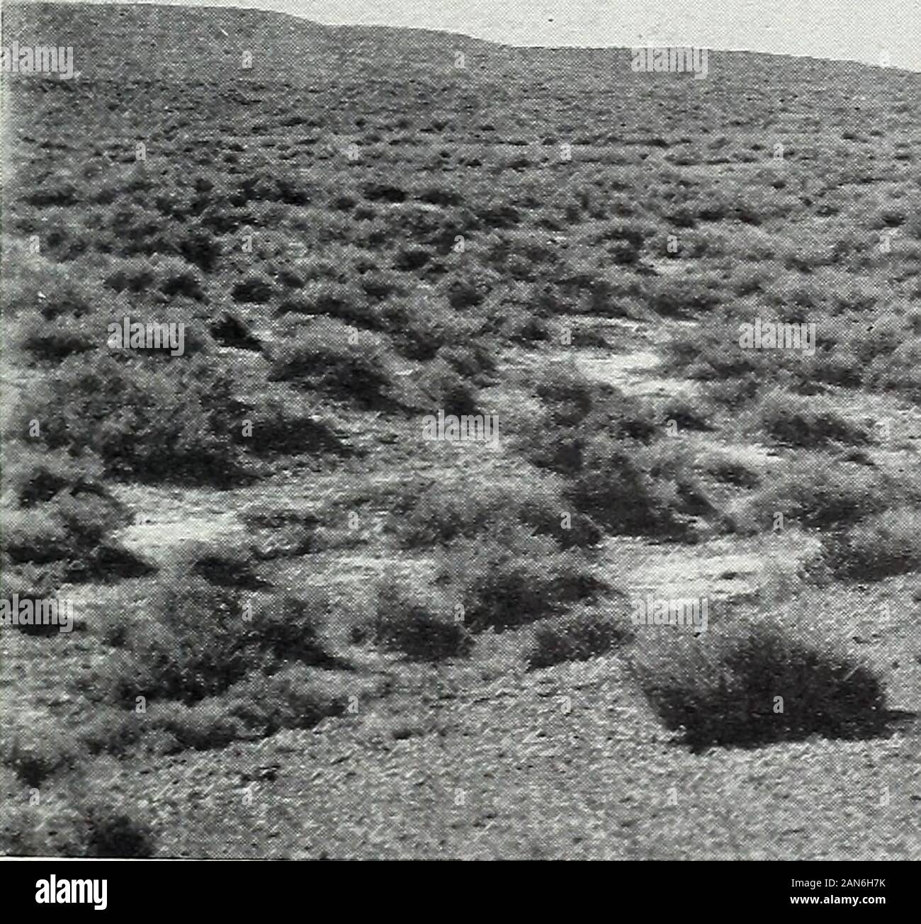 The topographic features of the desert basins of the United States with ...