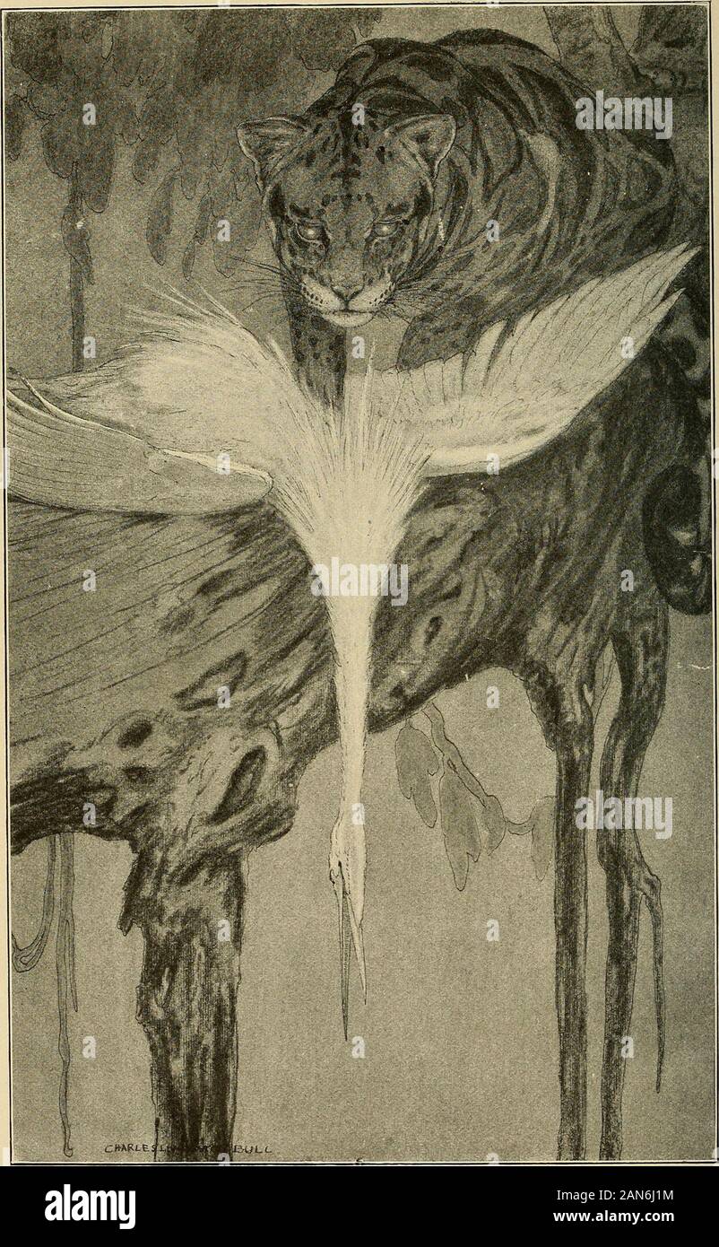 Worldsrecord hi-res stock photography and images - Alamy