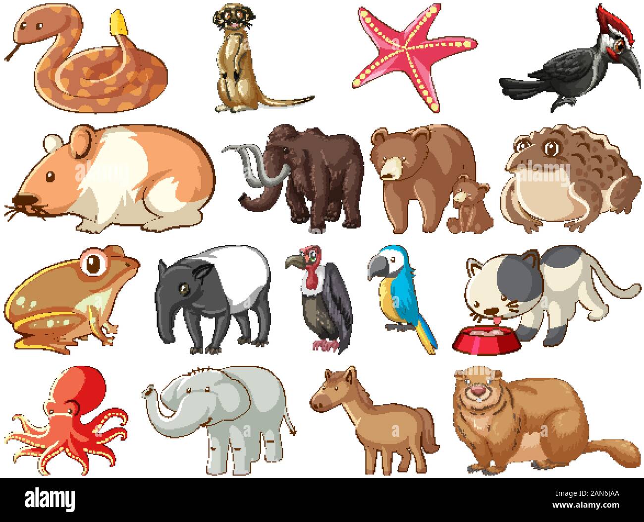 Large set of wildlife with many types of animals land and sea ...