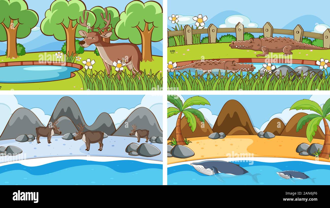 Background scenes of animals in the wild illustration Stock Vector ...