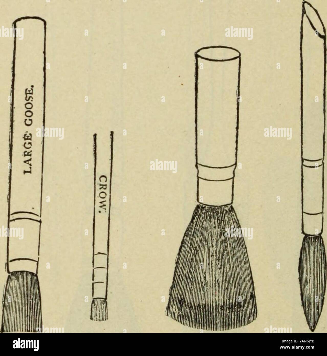 Softener brush hi-res stock photography and images - Alamy