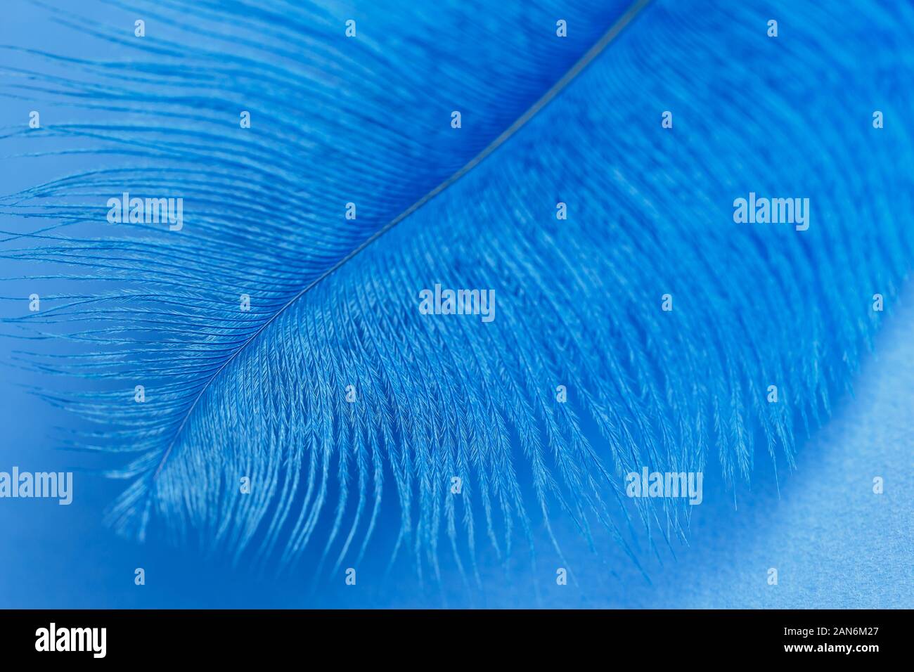 Close up of Classic blue feather texture background. Color trend of ...