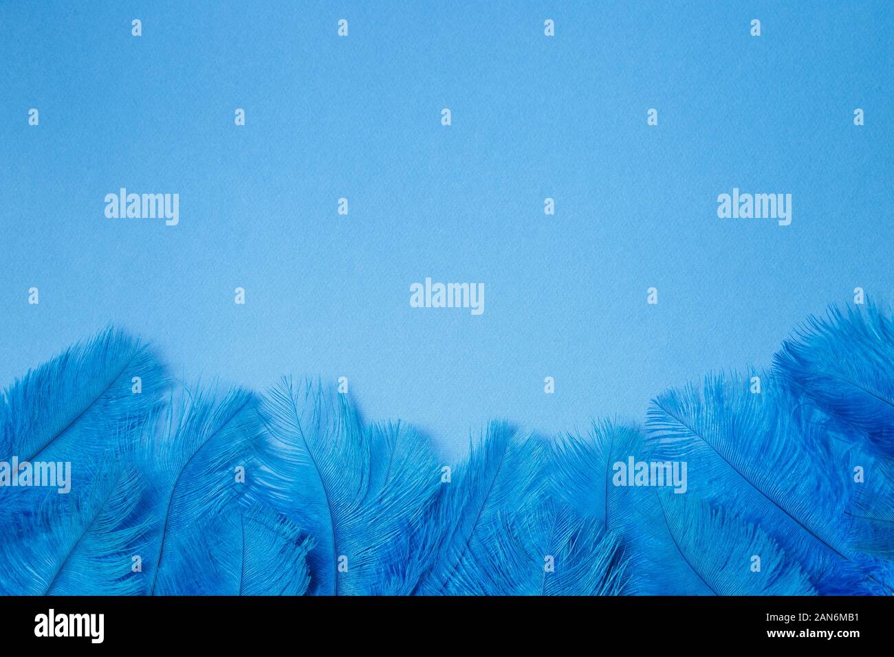 Group of tiny classic blue feathers border background. Copy space for ...