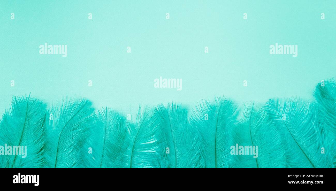 Group of tiny classic blue feathers border background. Copy space for ...