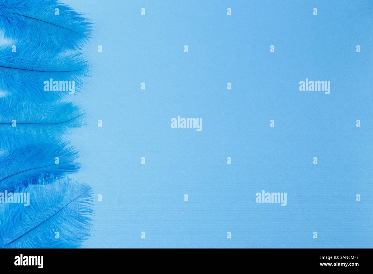 Group of tiny classic blue feathers border background. Copy space for ...