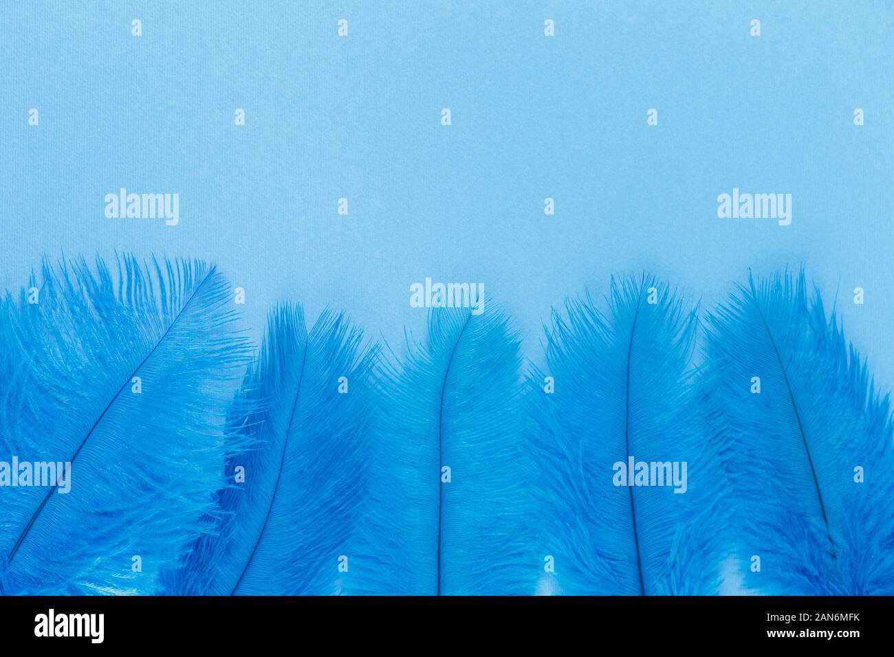 Group of tiny classic blue feathers border background. Copy space for ...