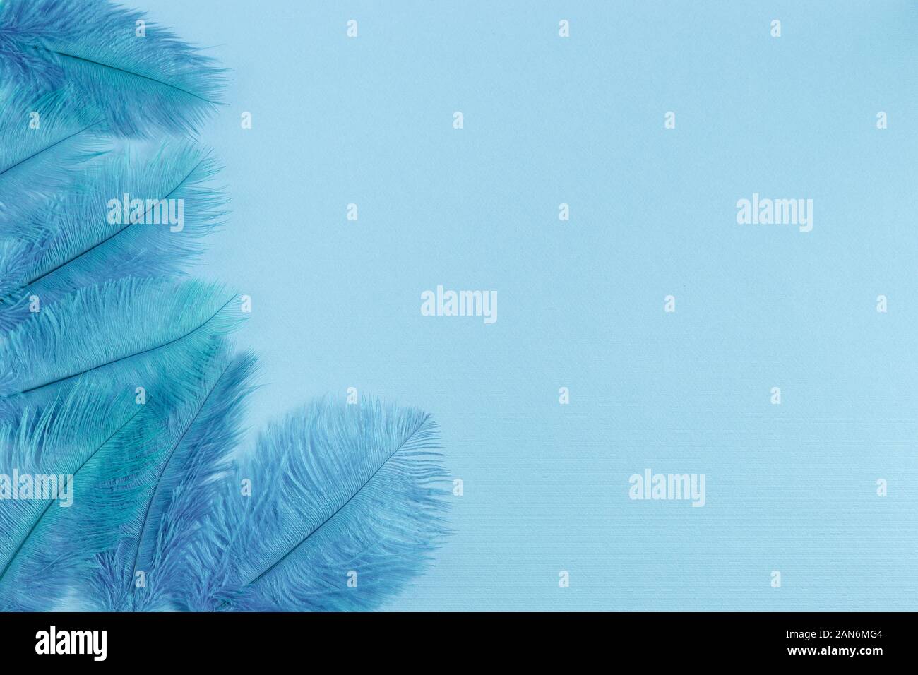 Group of tiny classic blue feathers border background. Copy space for ...