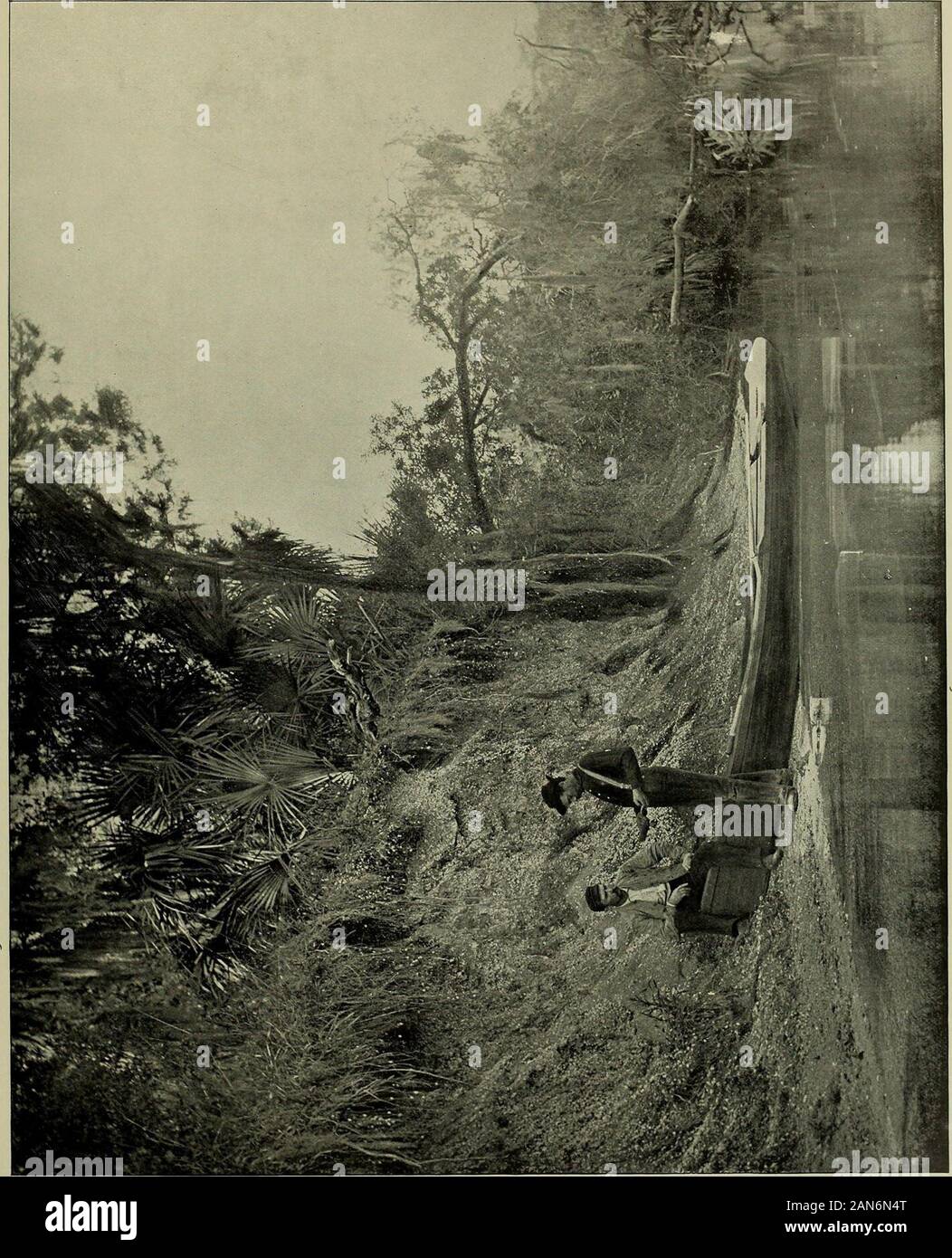 Indian shell mounds hi-res stock photography and images - Alamy