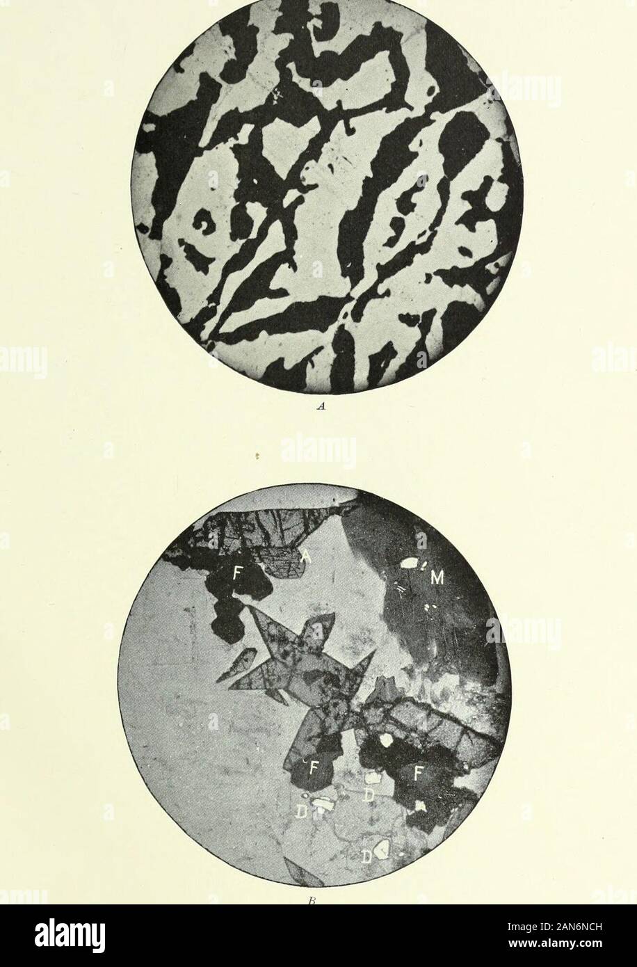 Tourmaline pegmatite granite hi-res stock photography and images - Alamy