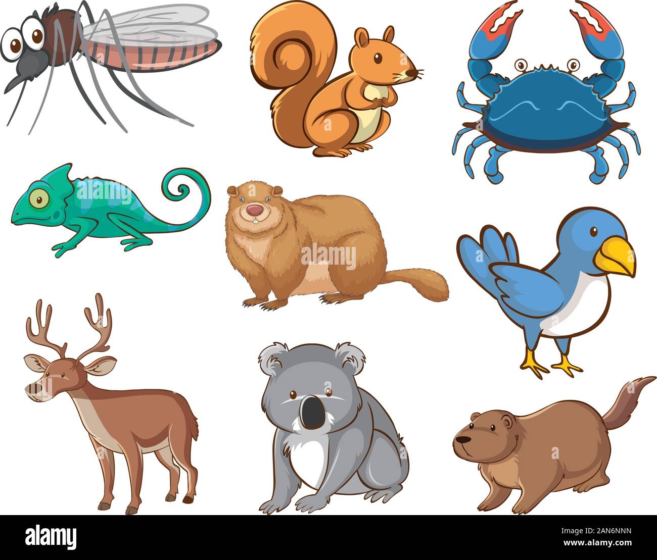Large set of wildlife with many types of animals illustration Stock ...