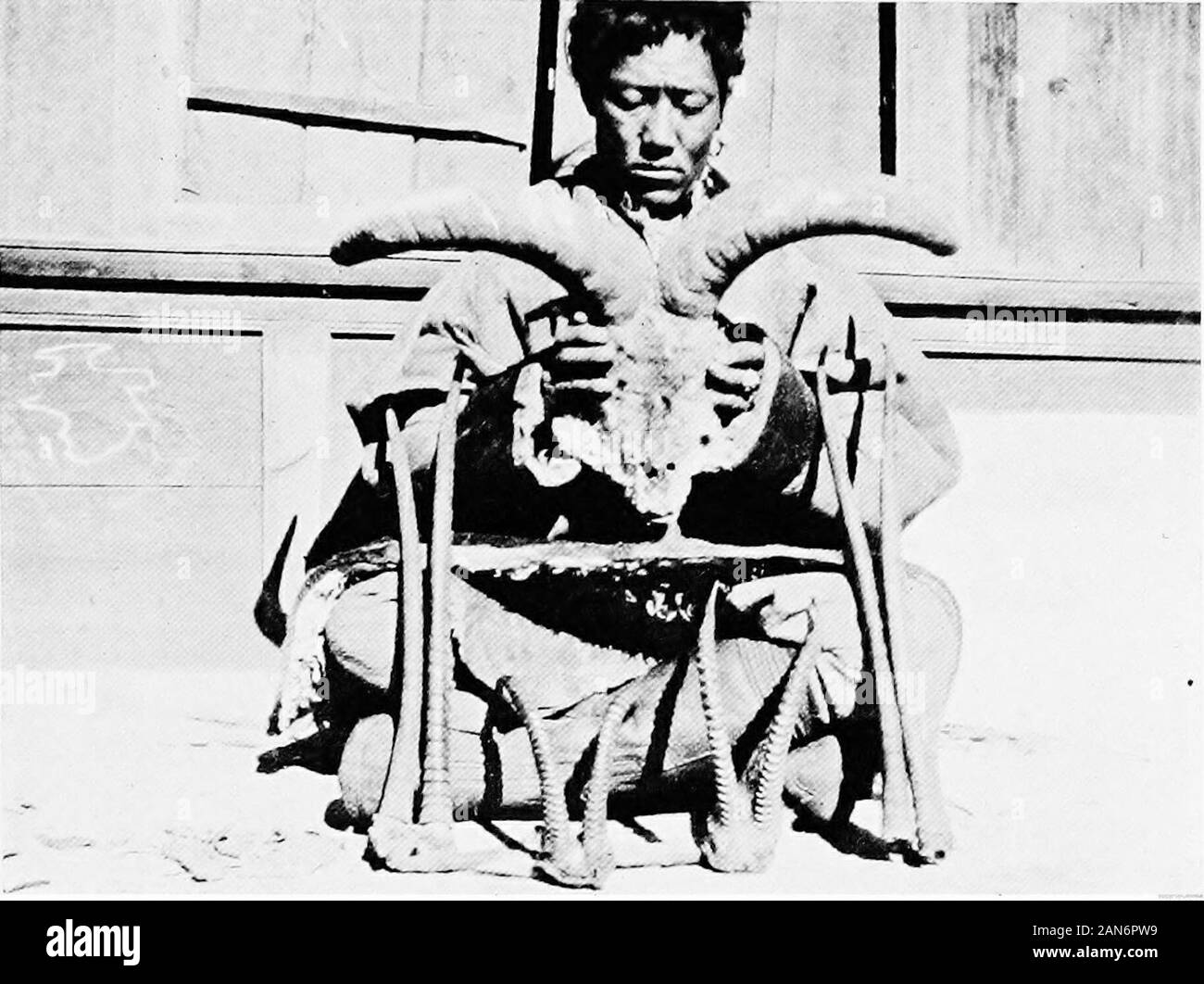 Chinese goral Black and White Stock Photos & Images - Alamy