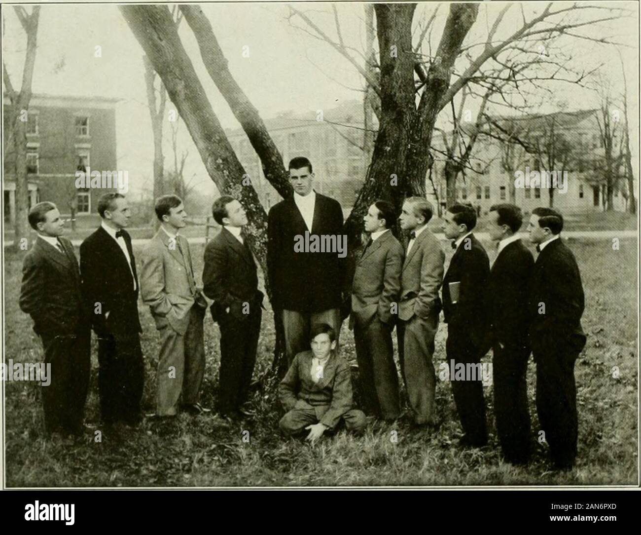 Quips hi-res stock photography and images - Alamy