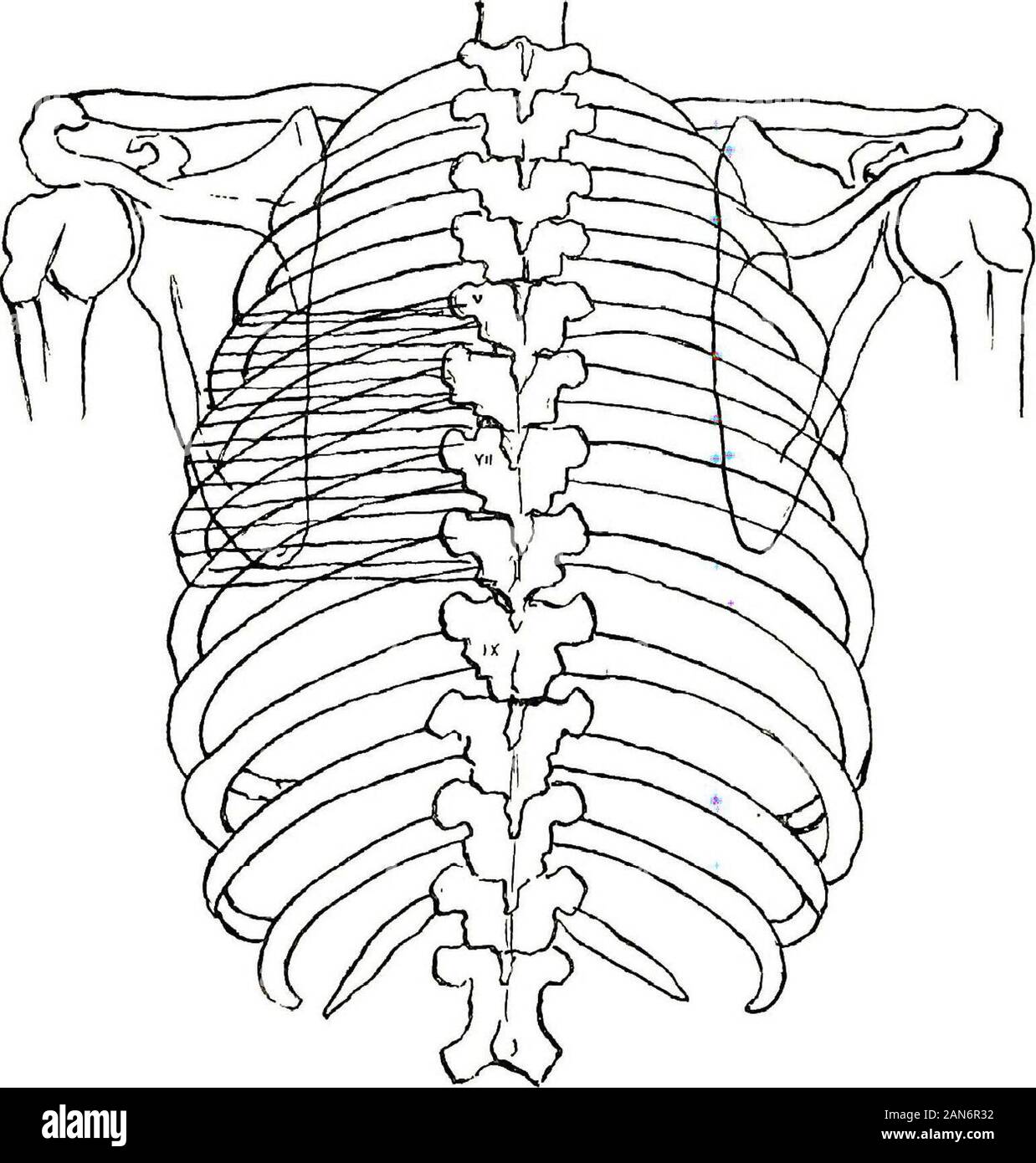 Well maintained rhythm hi-res stock photography and images - Alamy