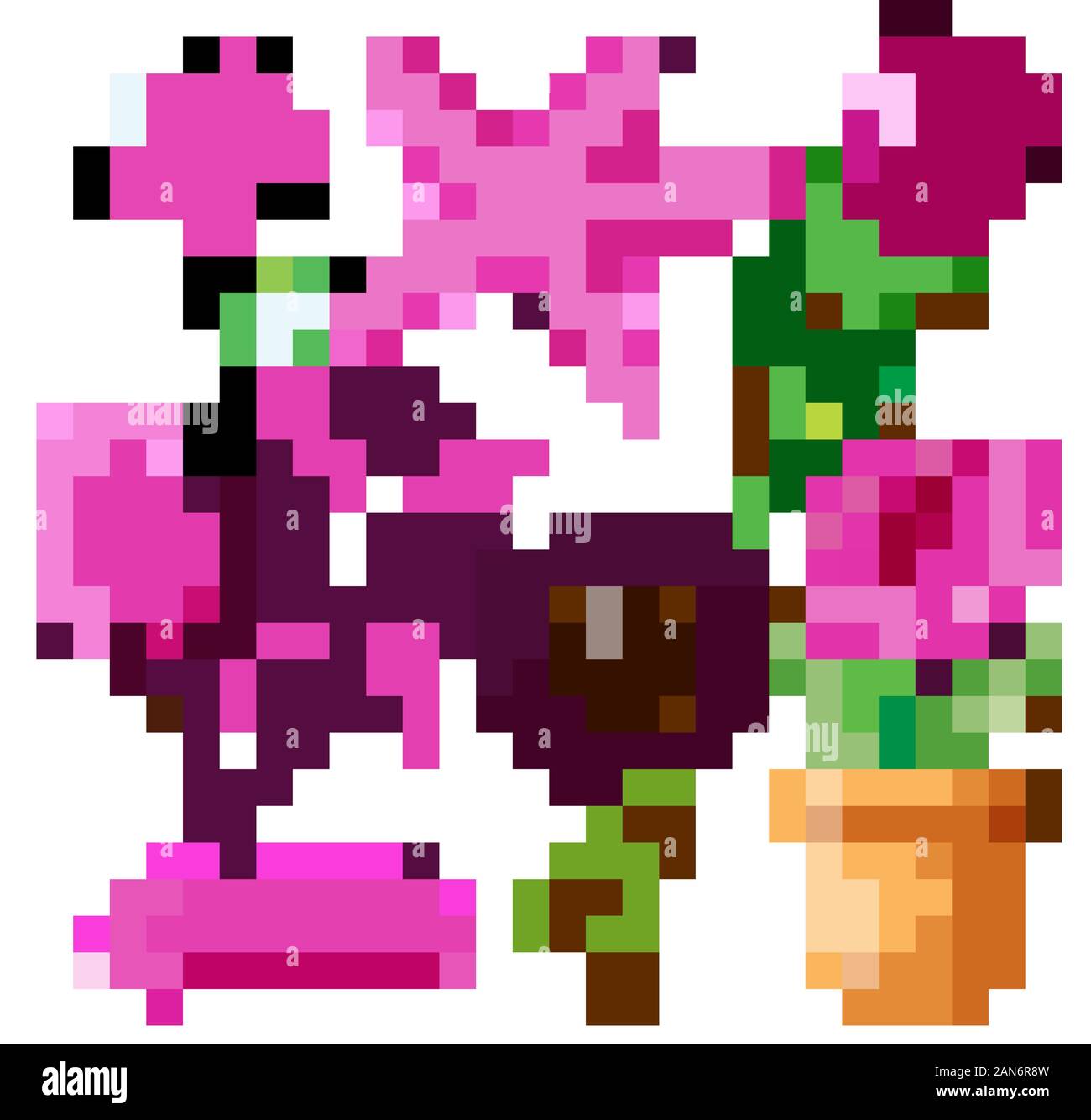 Rose other flowers in Cut Out Stock Images & Pictures - Alamy