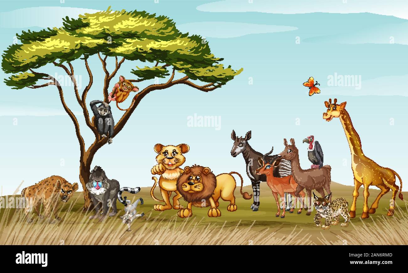 Many cute animals in savanna field illustration Stock Vector Image ...
