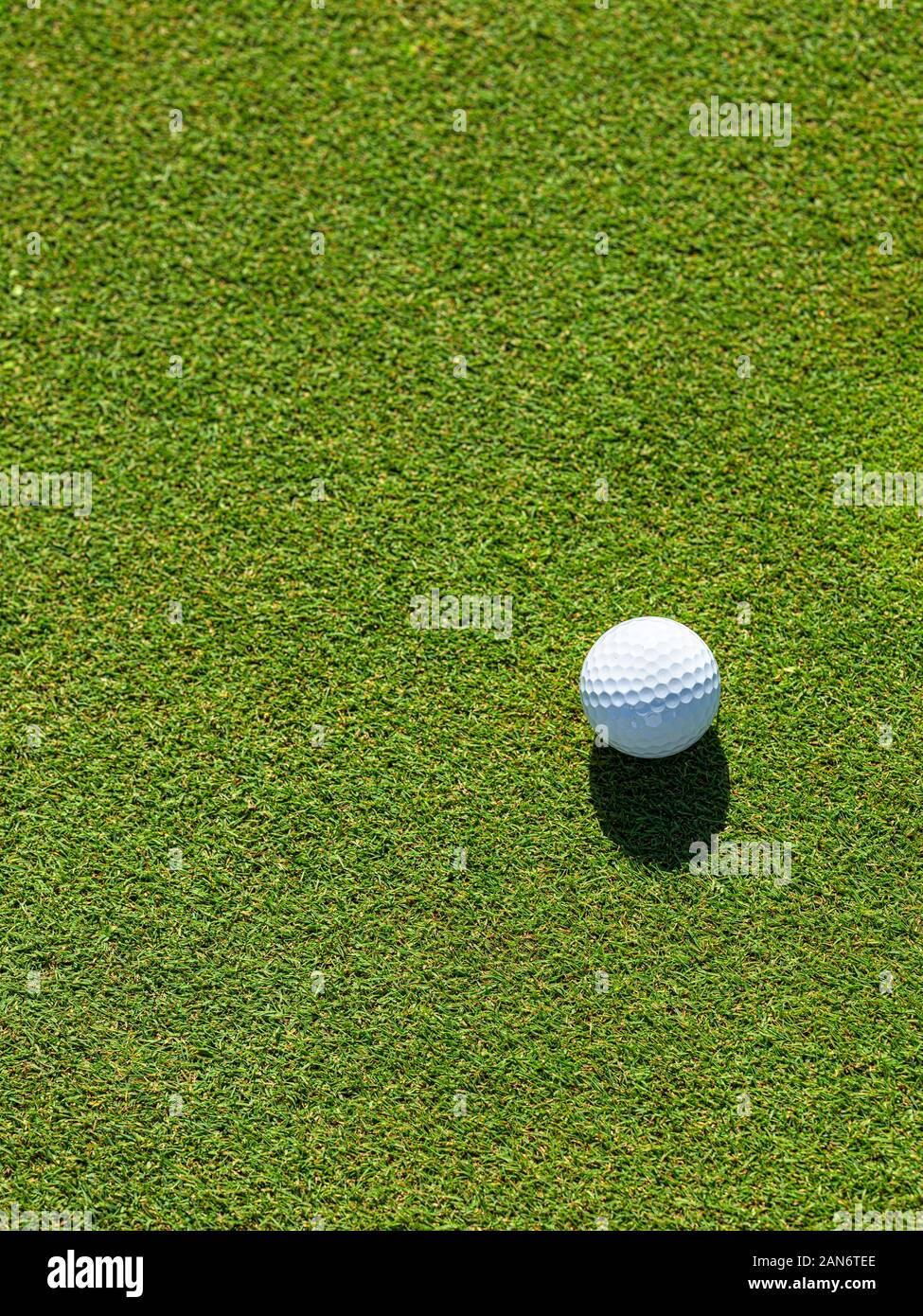 golf ball in a driving range Stock Photo - Alamy