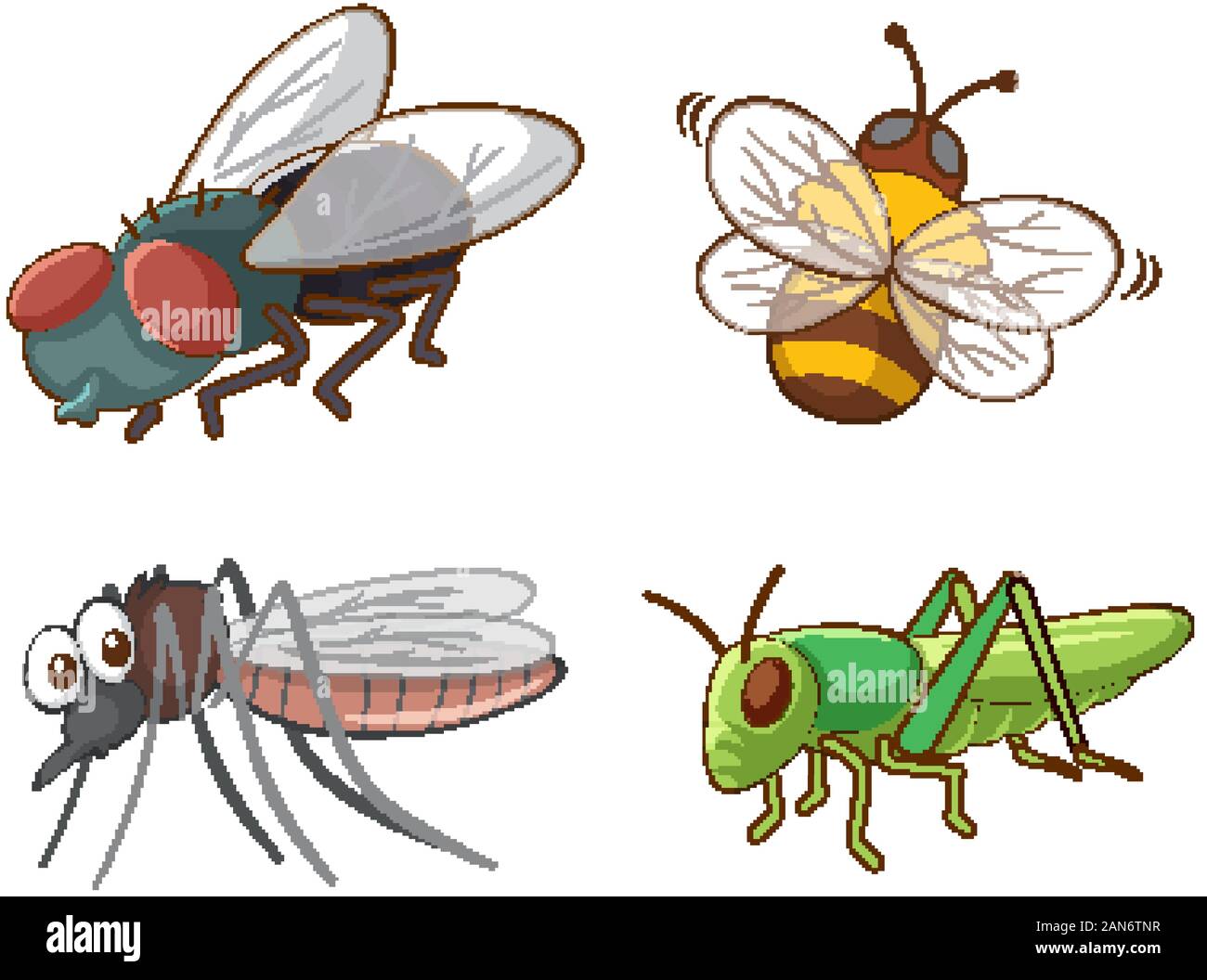 Isolated picture of different bugs illustration Stock Vector Image ...