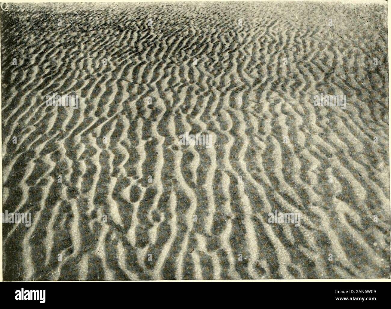Ripple mark hi-res stock photography and images - Alamy