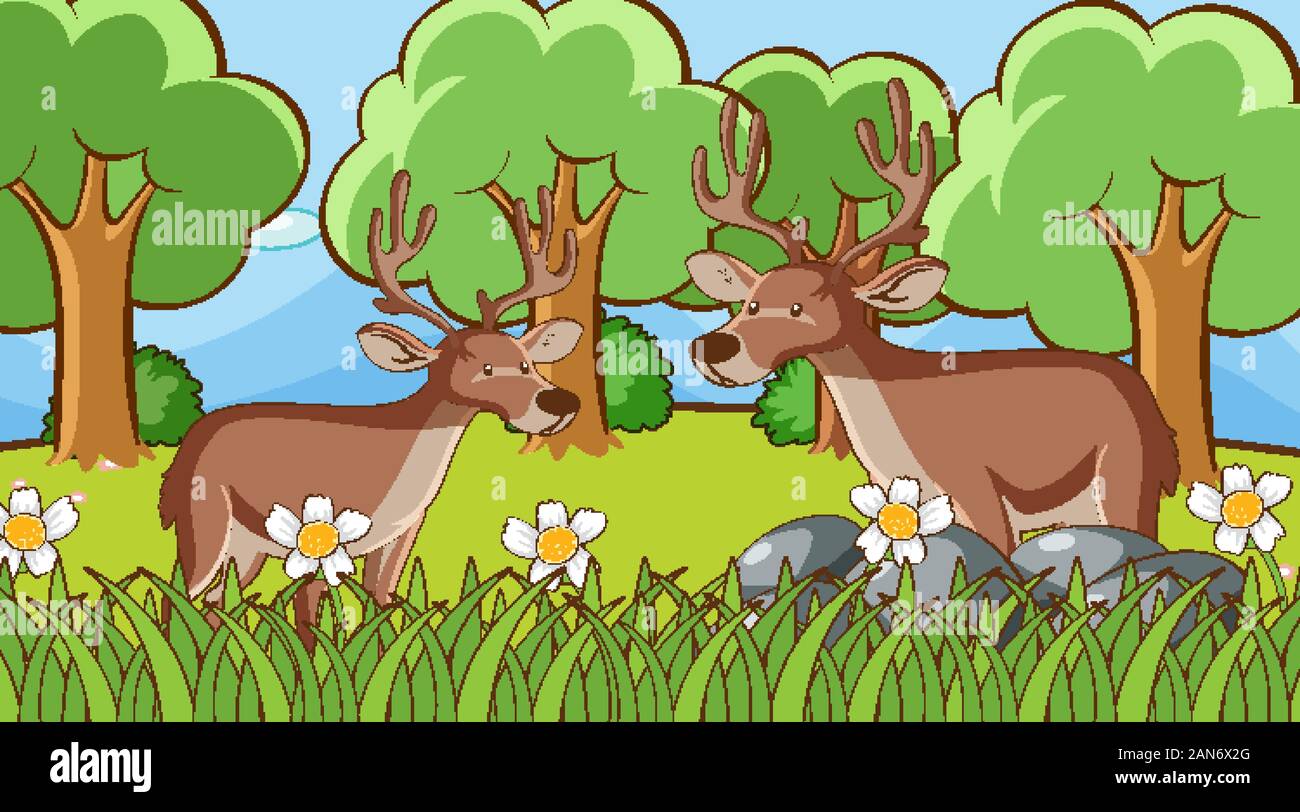 Scene with two deers in forest illustration Stock Vector Image & Art ...