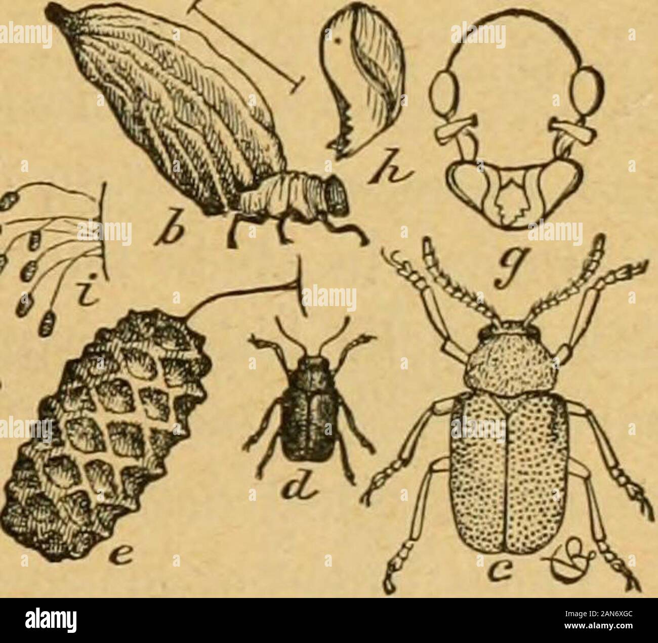 Ridges shown hi-res stock photography and images - Alamy