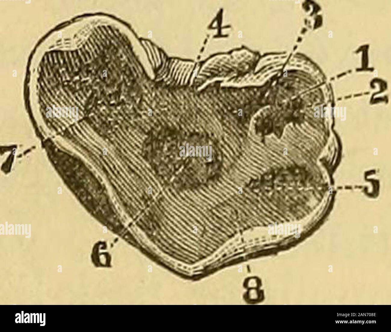 Semicircu hi-res stock photography and images - Alamy