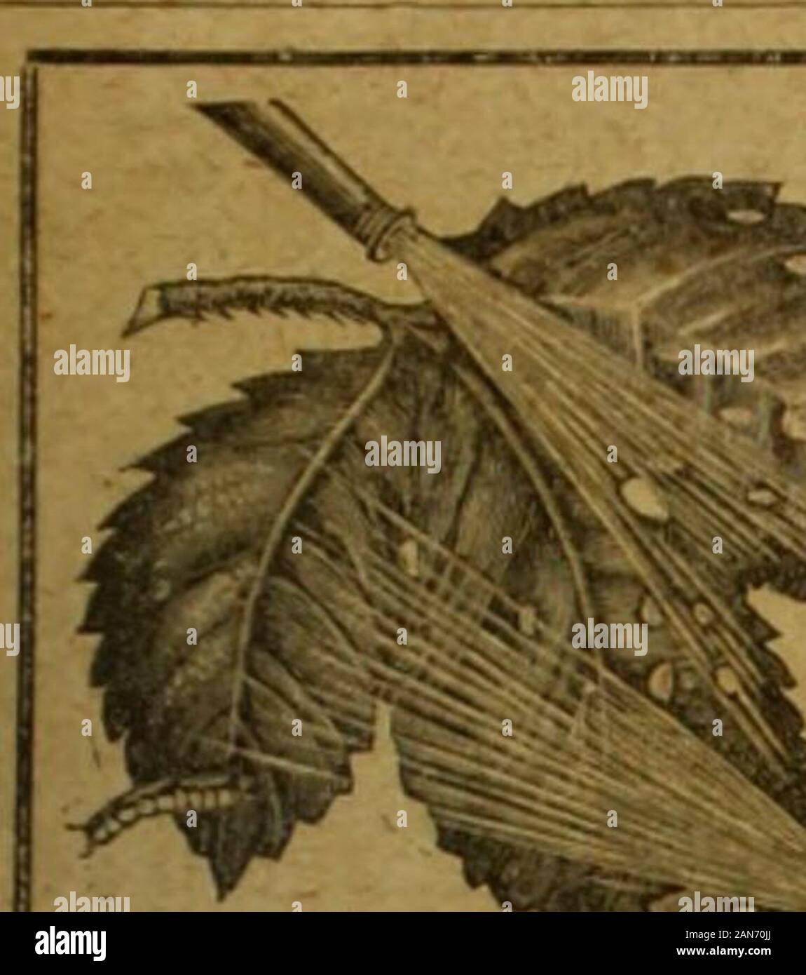 The Mark Lane express, agricultural journal &c . August 5, 1907 MARK ...