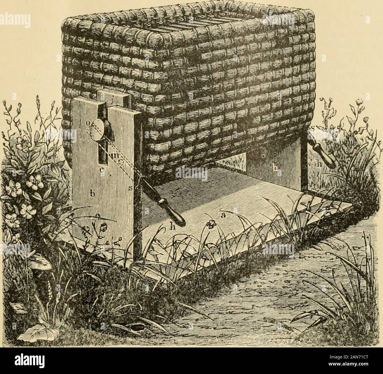 Movable frame bee hive hi-res stock photography and images - Alamy