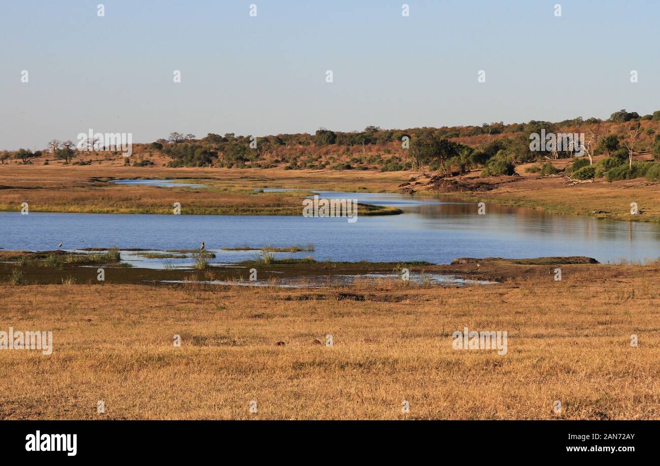 Chobe National Park scenes Stock Photo - Alamy