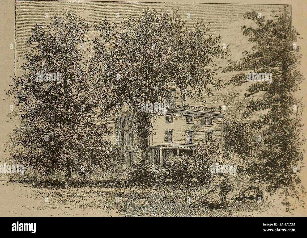 Robert traill hi-res stock photography and images - Alamy