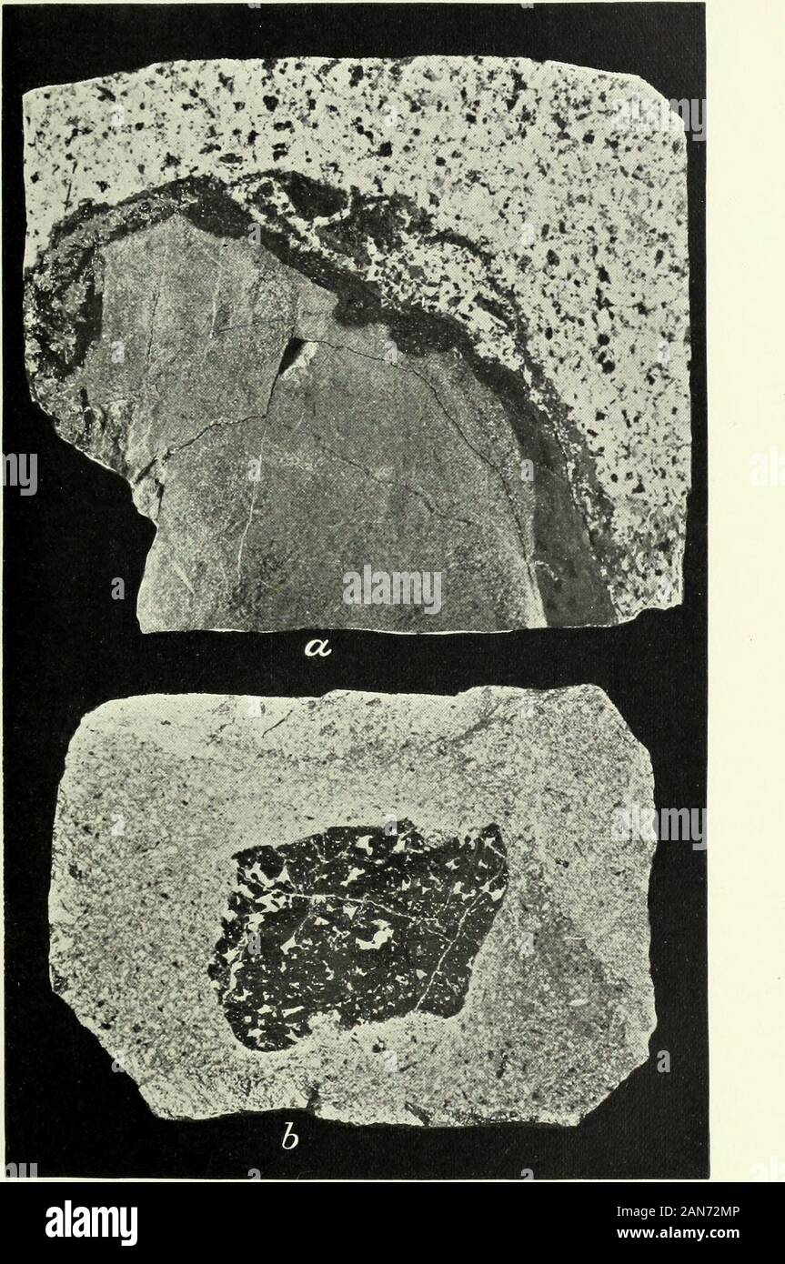 Tufflayers hi-res stock photography and images - Alamy