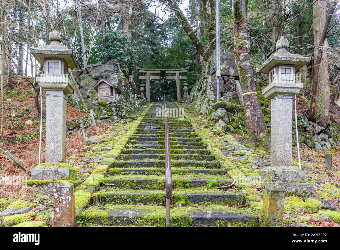 Garden Stone Steps High Resolution Stock Photography and Images - Alamy