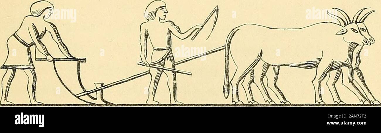 Classical plough hi-res stock photography and images - Alamy