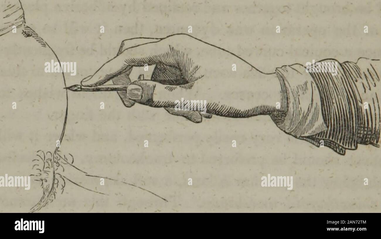 Linea Alba High Resolution Stock Photography and Images - Alamy