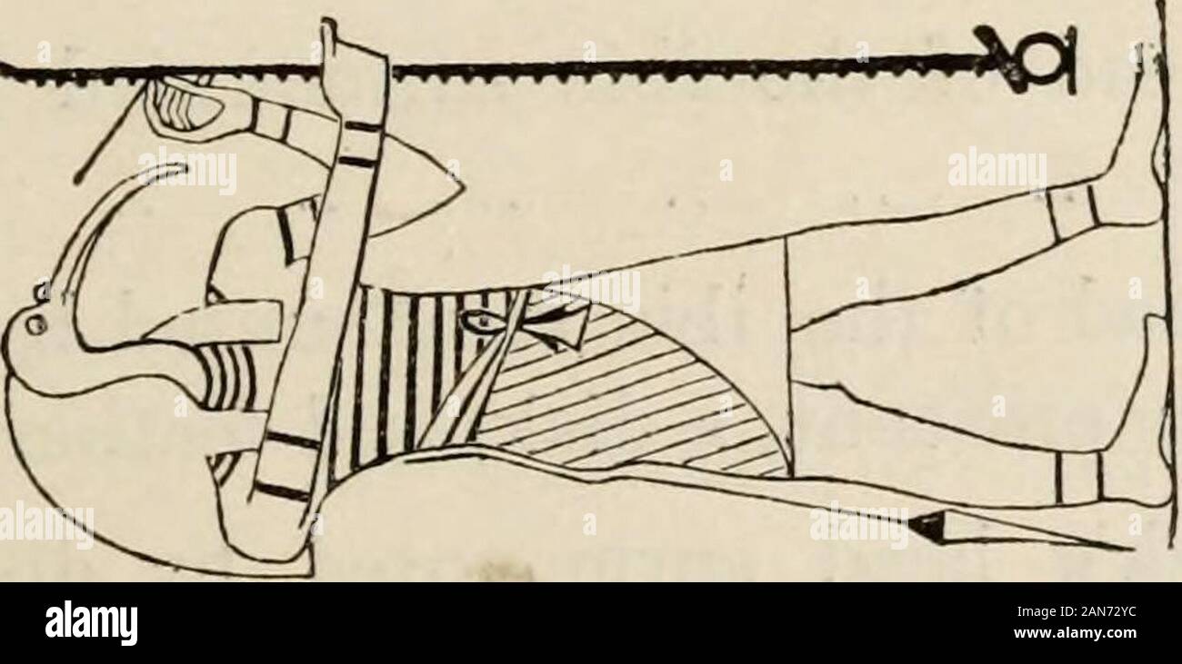 Hieroglyphic number hi-res stock photography and images - Alamy