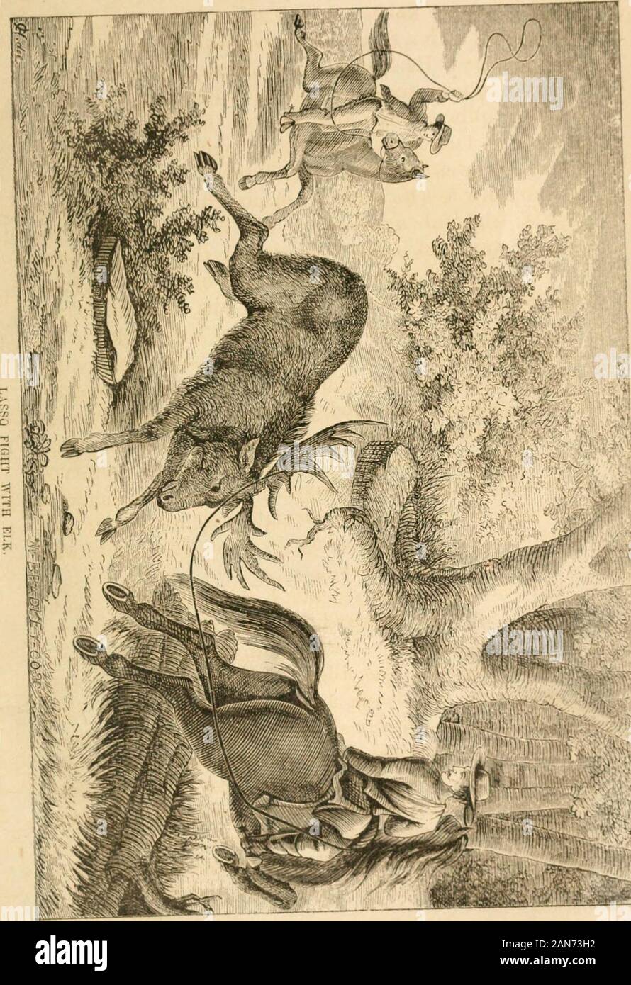 Fort tejon hi-res stock photography and images - Alamy