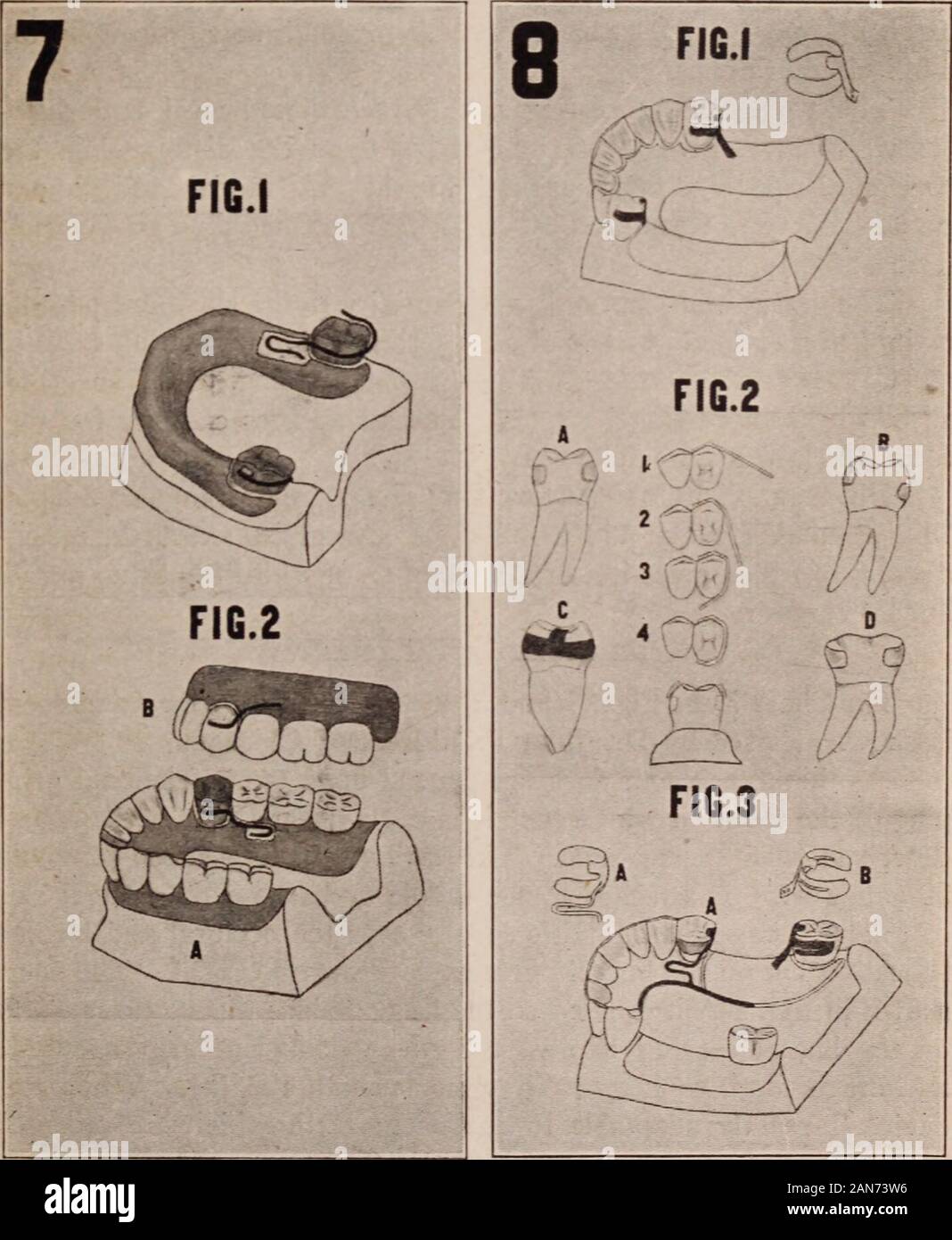 Dental review; devoted to the advancement of dentistry. . the lingual ...