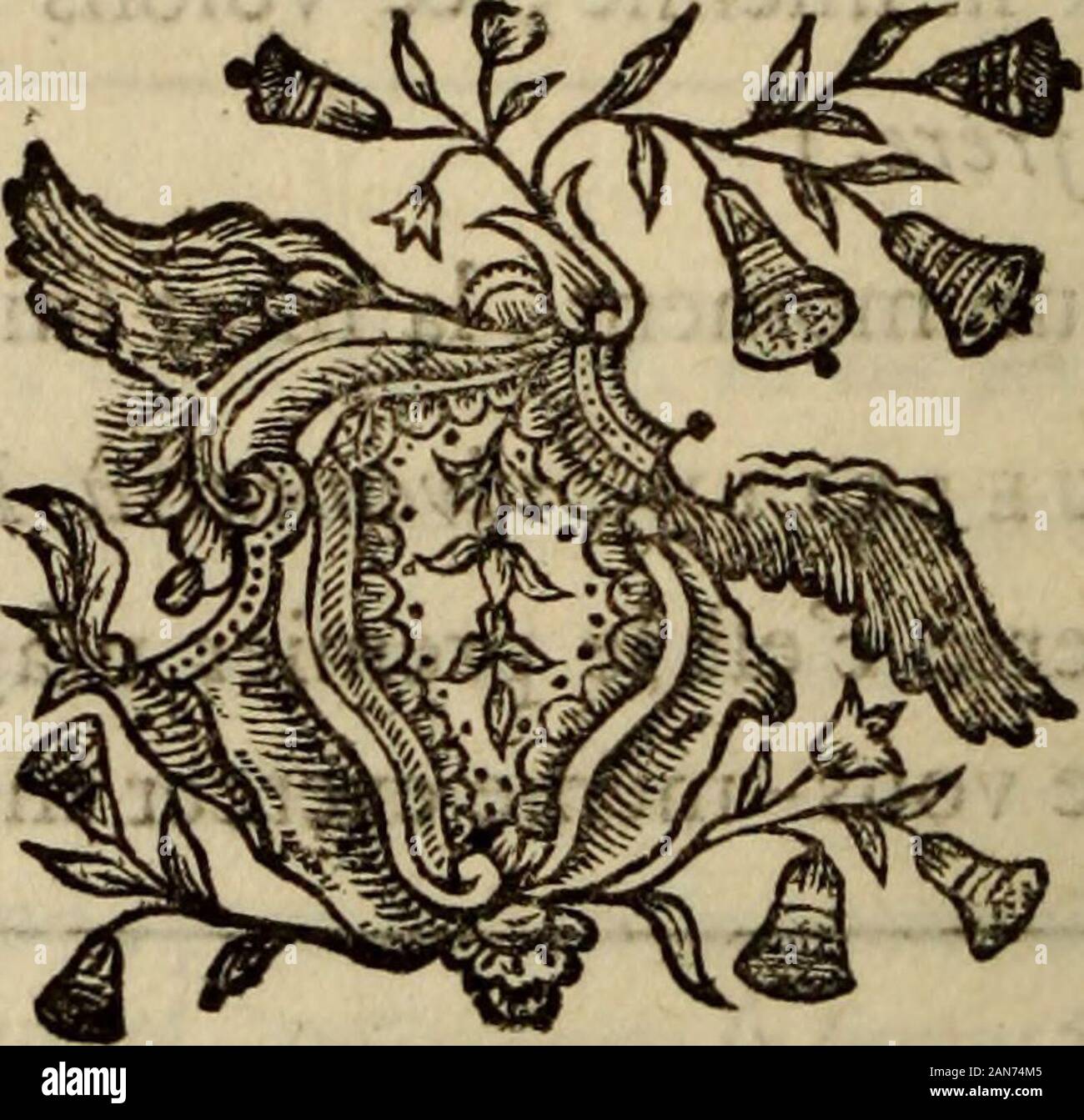 Armee ranger hi-res stock photography and images - Alamy