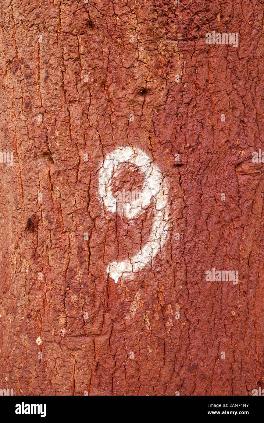 Number nine drawn with white paint on the wall Stock Photo - Alamy